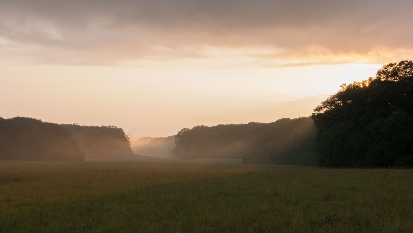Two day budget safari at Wonga Wongue Reserve, not far from Libreville
