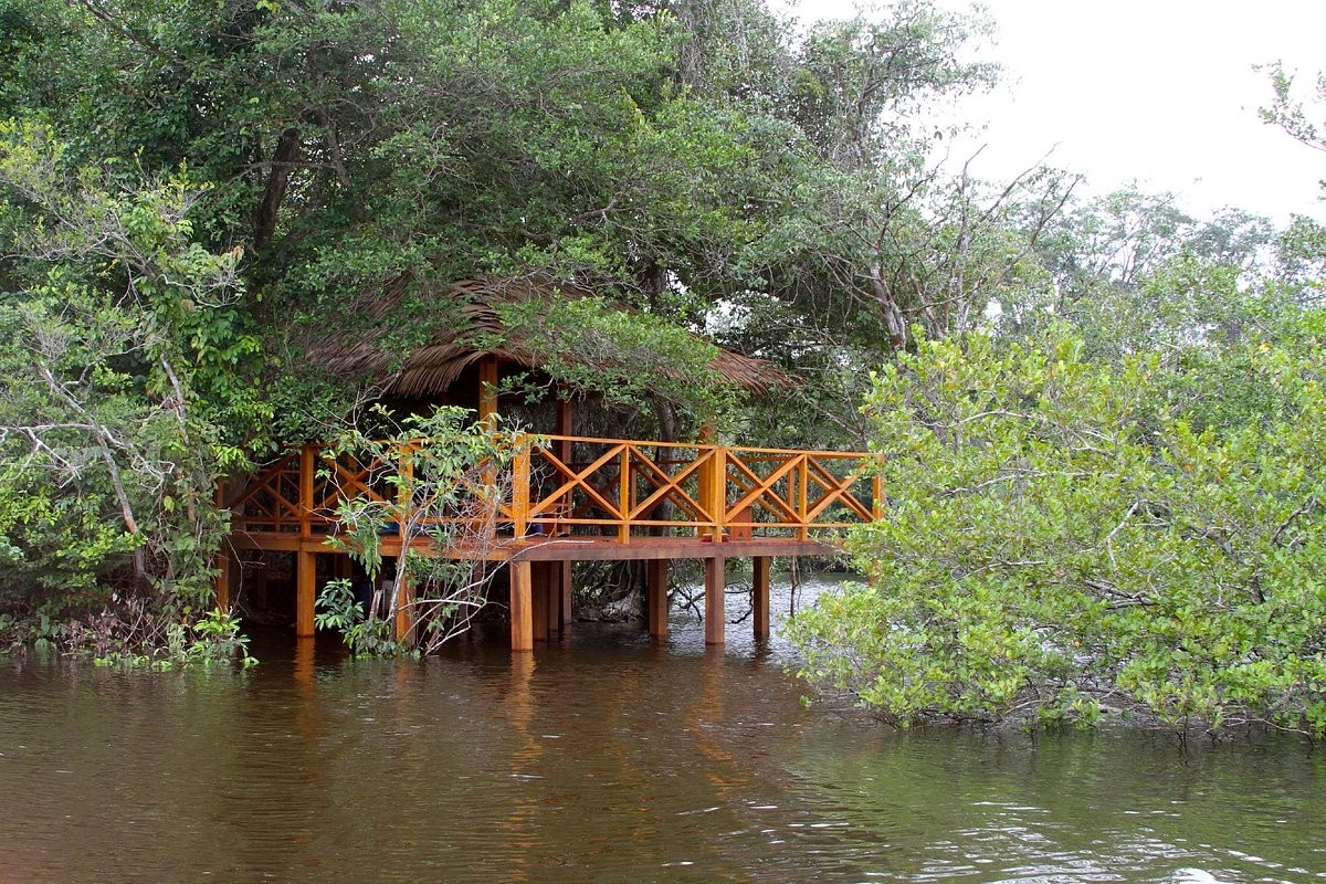 Cheap travel in Gabon with a professional tour agency from Libreville ...