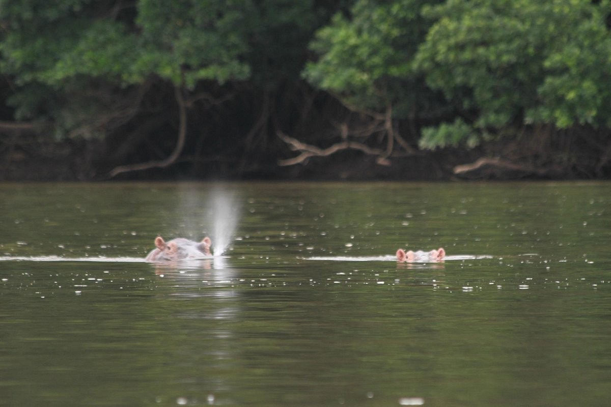 Cheap travel in Gabon with a professional tour agency from Libreville ...