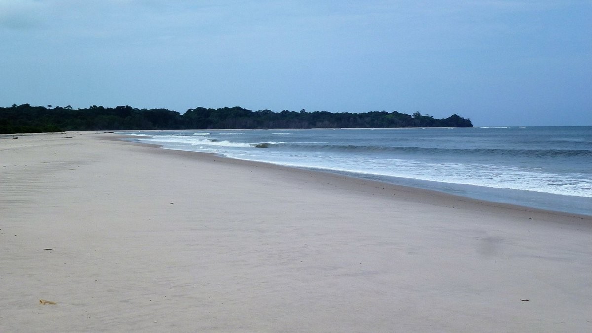 Cheap travel in Gabon: coastal trip to Omboué and Loango National Park