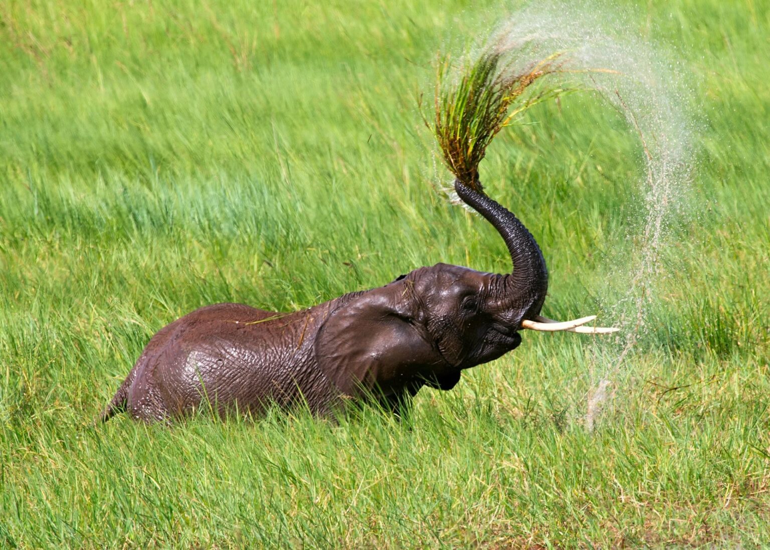 The best travel destinations and tours in Gabon