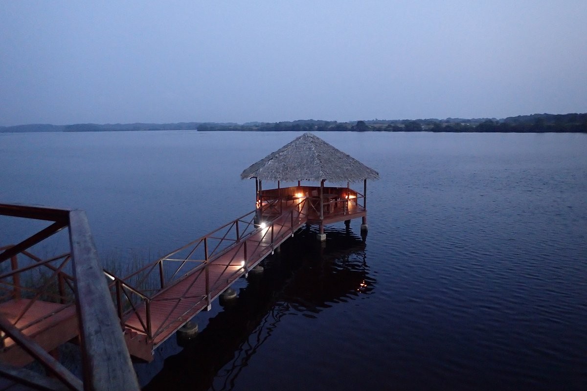 Best of Gabon: Luxury Safari to Loango National Park