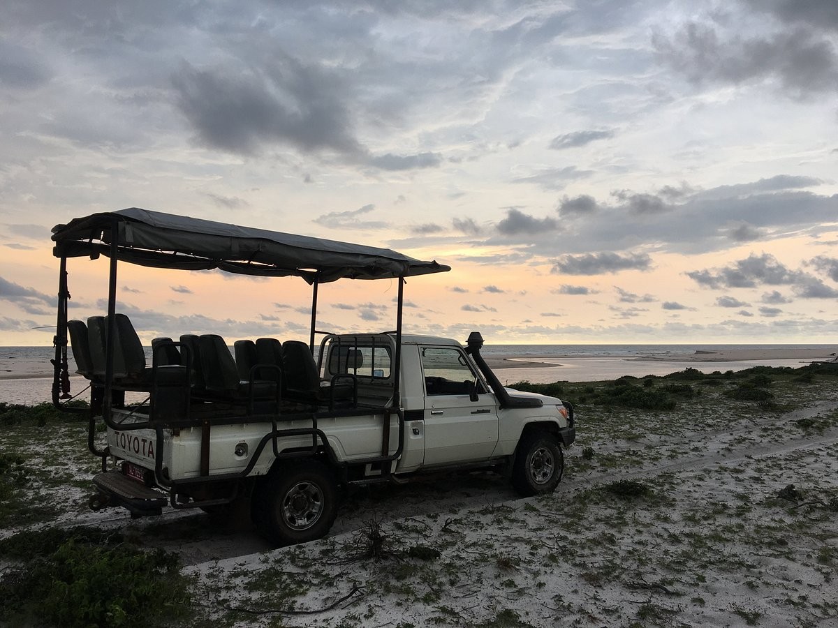 Best of Gabon: Luxury Safari to Loango National Park