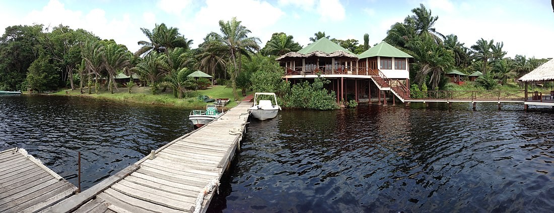 Best of Gabon: Luxury Safari to Loango National Park