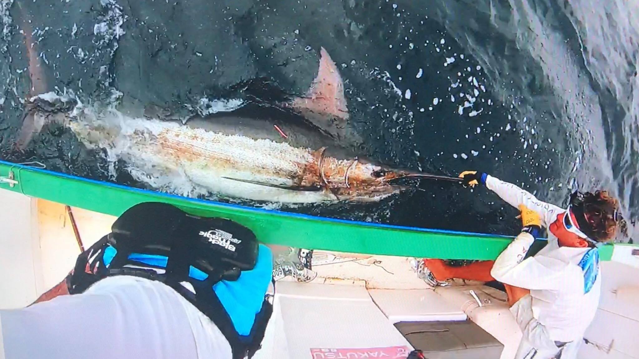 Cheap, professional fishing tours in Gabon